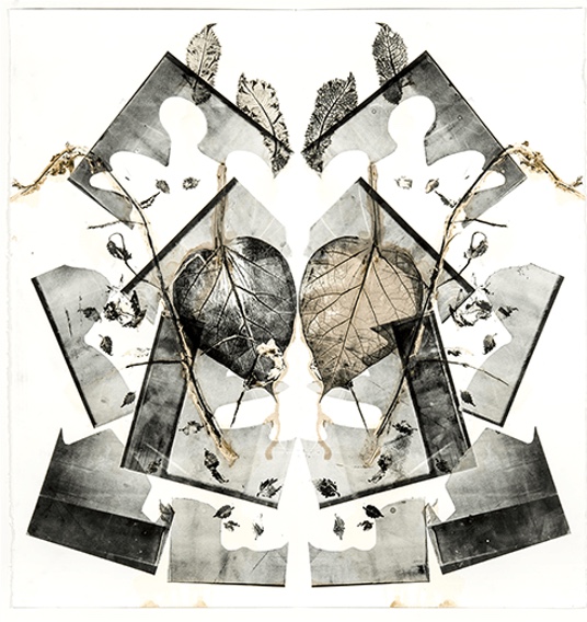 Group Show Works on Paper Closes the Year at 2731 Prospect Gallery ...