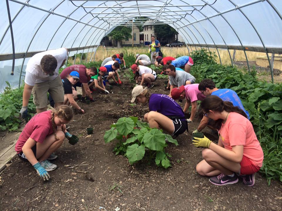 Community Greenhouse Partners Cultivating New Year with Hair of the Dog ...