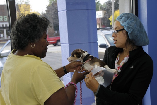 Euclid’s PetFix Gets Grant to Expand Its Capacity | CoolCleveland