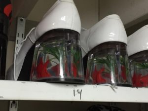 Chelsea’s Costumes | CoolCleveland