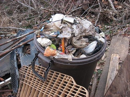 Euclid and Collinwood Compete to Collect the Most Trash During “The Big ...