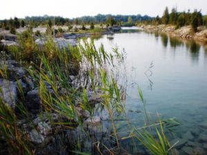 Western Reserve Land Conservancy Opens New Areas to the Public ...