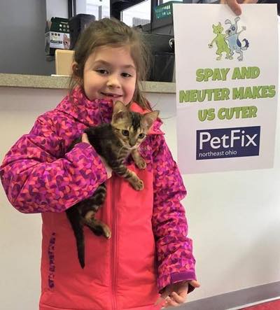 Nonprofit Spay/Neuter Clinic PetFix celebrates Its 100,000th Surgery ...