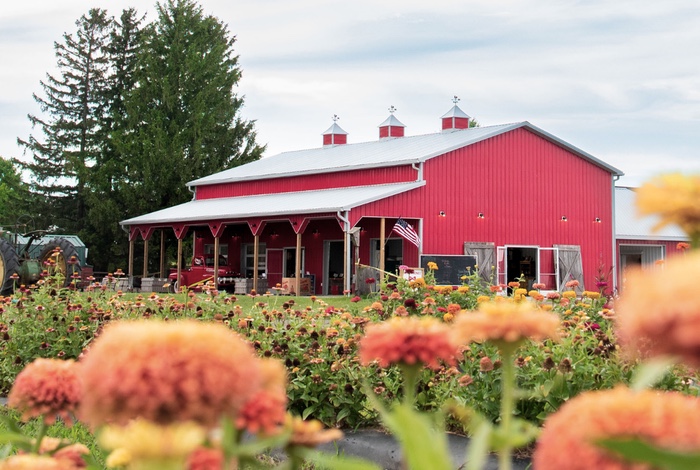 Farmer Jones Farm Market Hosts a Summer Festival | CoolCleveland