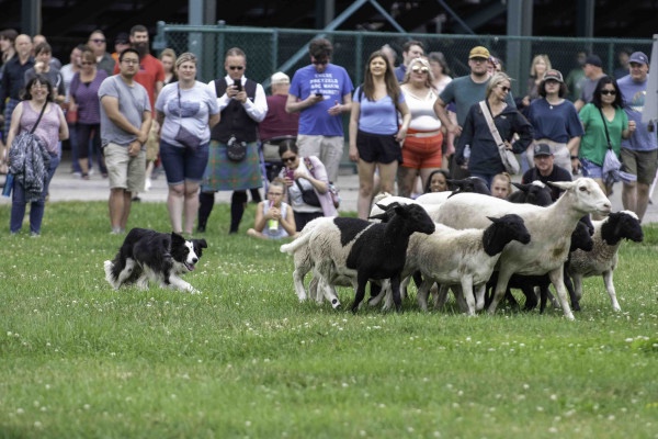 All Things Celtic Descend on the Berea Fairgrounds for the Ohio ...