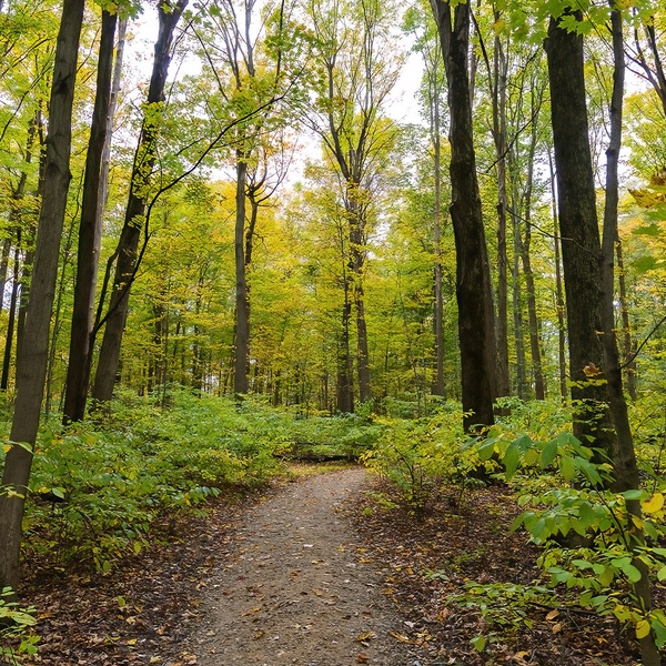 Hit the Trails at Summit Metro Parks Fall Hiking Spree Kickoff ...