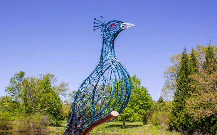 Holden Arboretum Sculptural Pieces “Forest Forms” On View for Only One ...